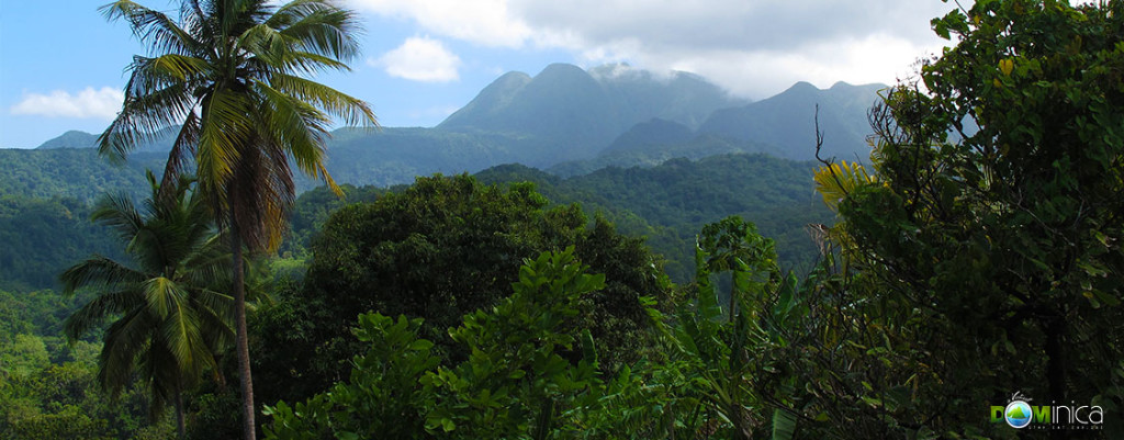 What to Do in Dominica - activities and attractions on the Nature ...