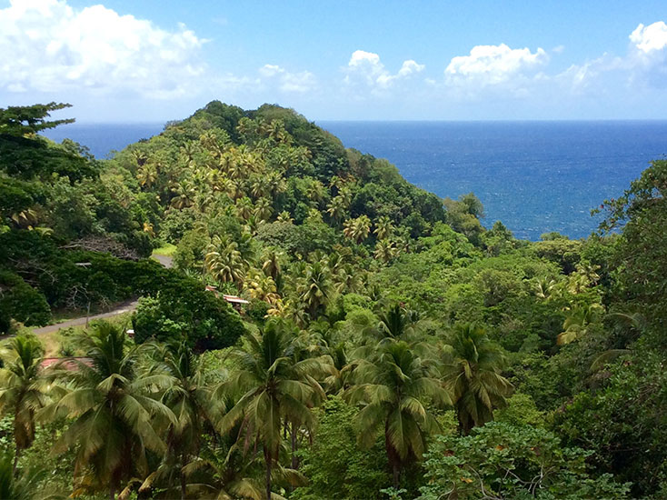 Domcan Guesthouse | a virtual Dominica