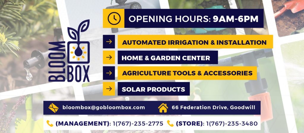 Bloom Box Garden Center | a virtual Dominica